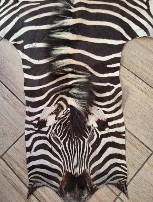 100% Zebra Hide, Skin, Rug | Lebocode Online